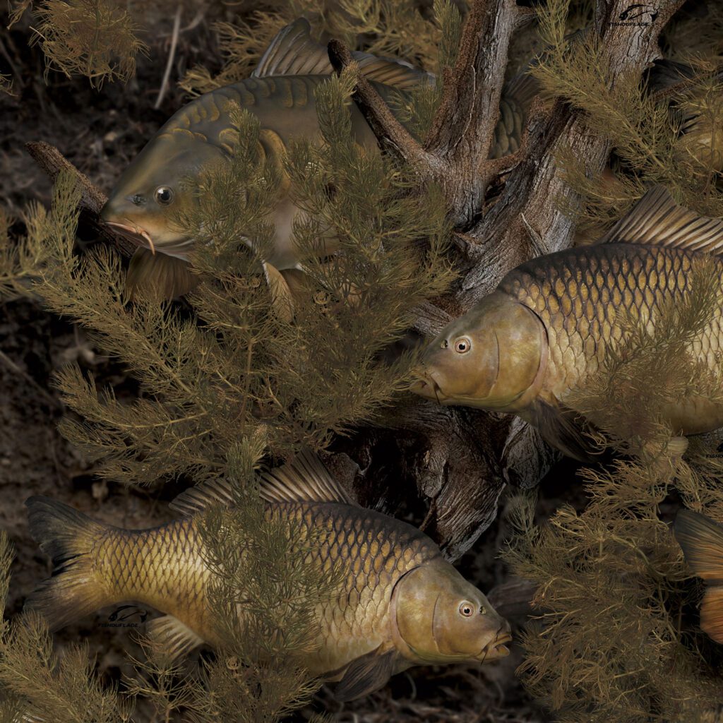 Camo Strike Carp Cap | Fishouflage